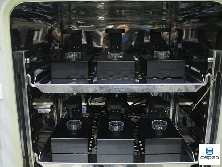 眀场活细胞成像系统Cyto-MINI_Cyto活细胞观察系统(视普光电)